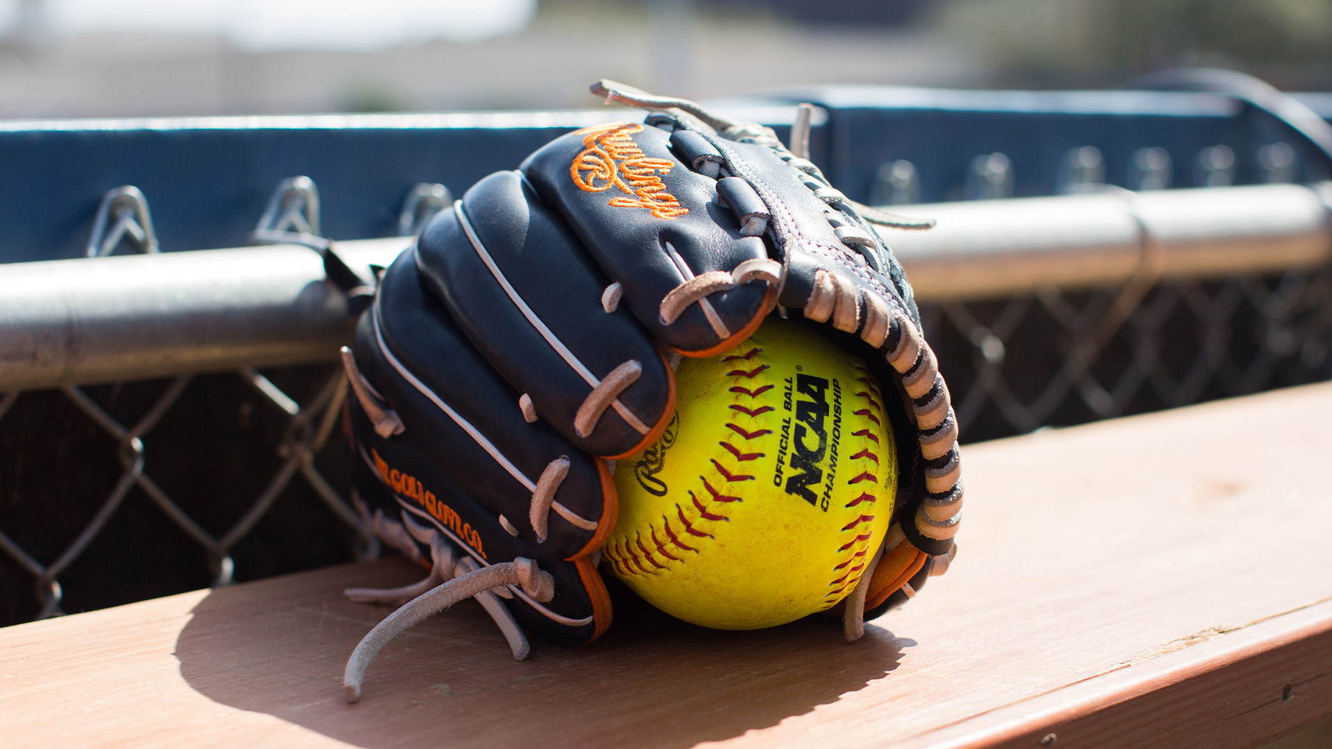 UTSA Softball picked ninth in American Conference Preseason Poll - UTSA ...