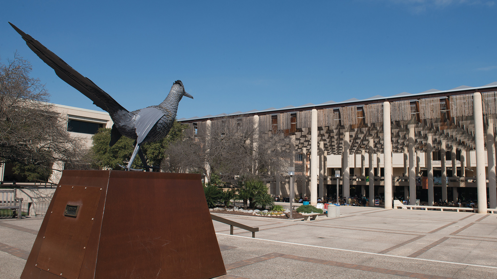 UTSA student-athletes achieve successful fall semester in classroom ...