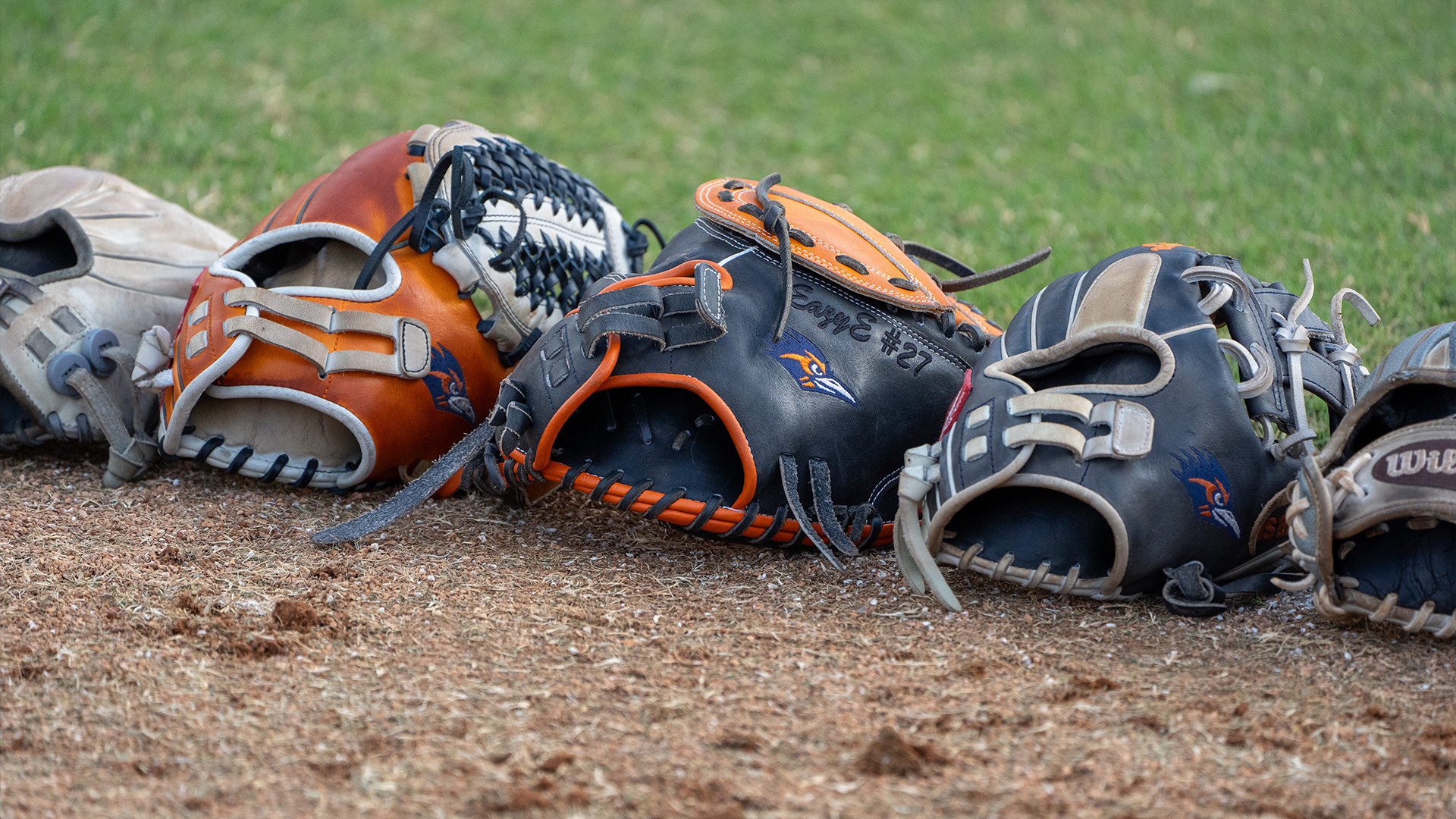 Softball 2024 - UTSA Athletics - Official Athletics Website