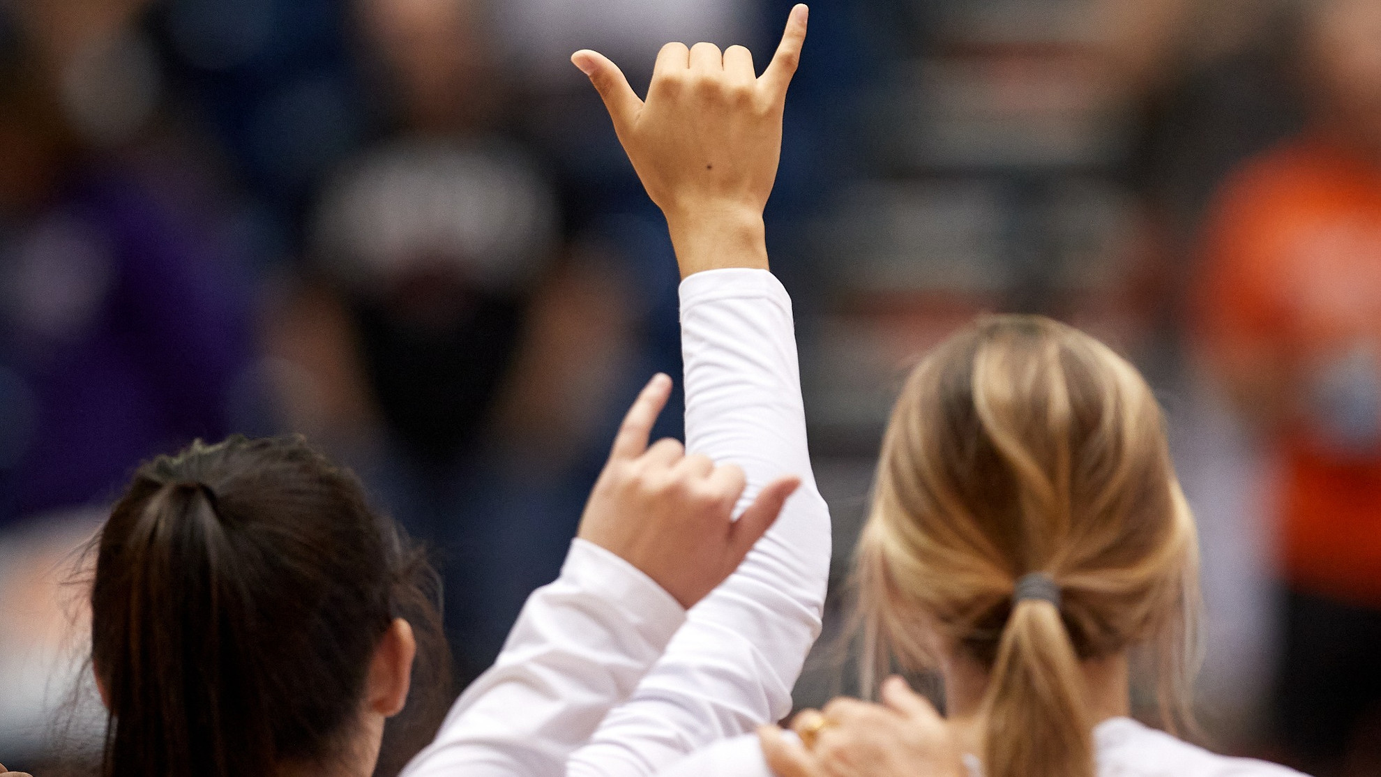 Volleyball 2024 - UTSA Athletics - Official Athletics Website